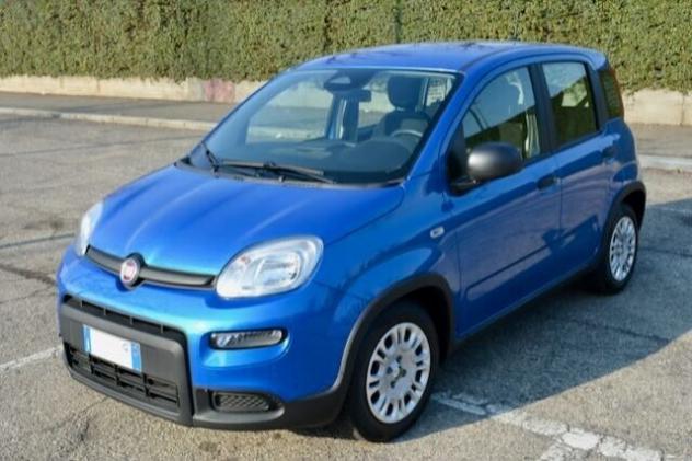 Fiat Panda 1 0 FireFly S&S Hybrid Pandina - Annunci Torino