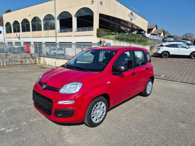 FIAT Pandina 1 0 FireFly 65 CV Hybrid Icon rif 23772391 - Annunci Parma