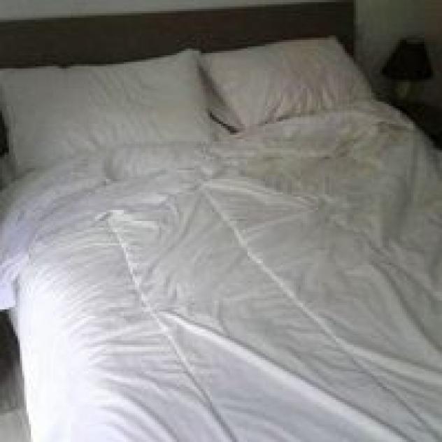 B&B Living - Annunci Roma