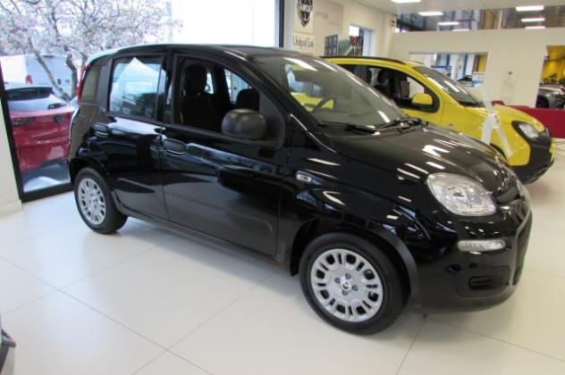 FIAT Panda 1 0 FireFly 70cv S&S Hybrid ICON KMZERO rif - Annunci Milano