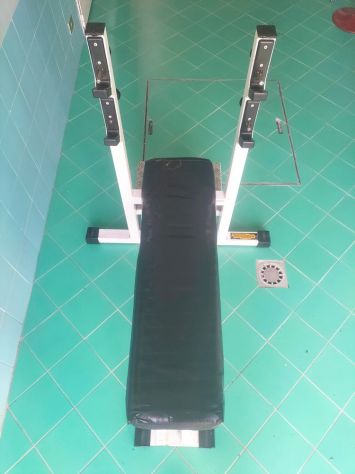 Panca piana Technogym Lux - Annunci Milano